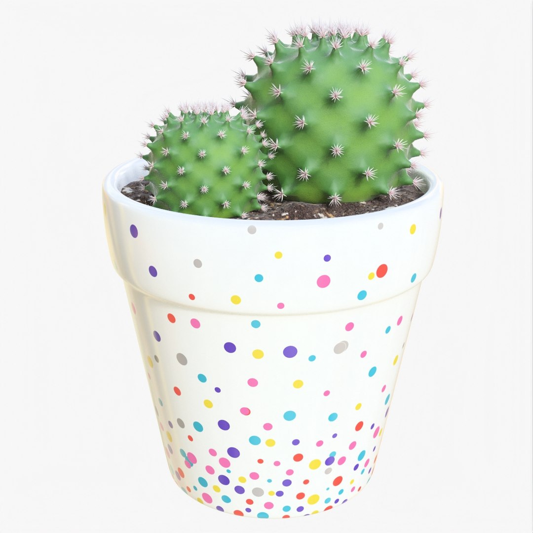 Cactus 02 C Model - TurboSquid 1987407