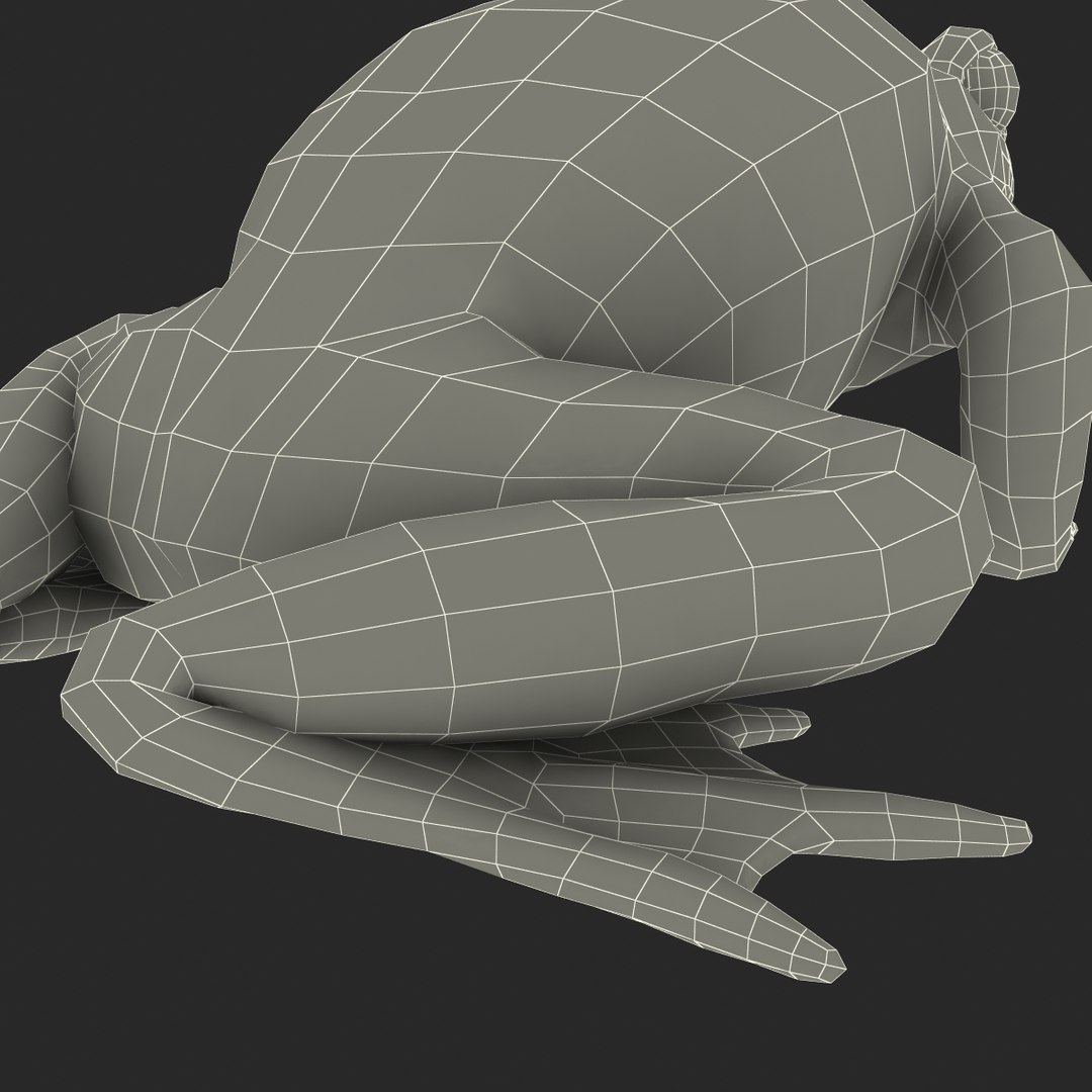 3d Model Bellied Toad Frog Pose