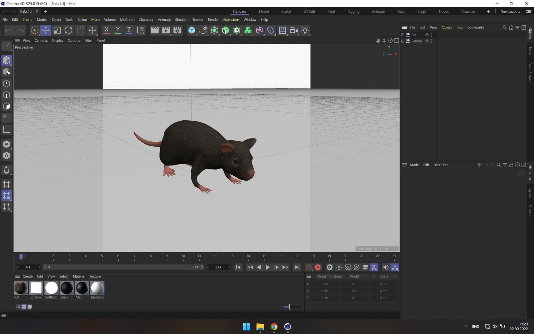 Rat 3D Model - TurboSquid 2079245