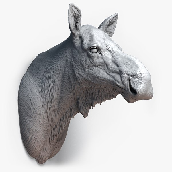 3D Moose Models | TurboSquid