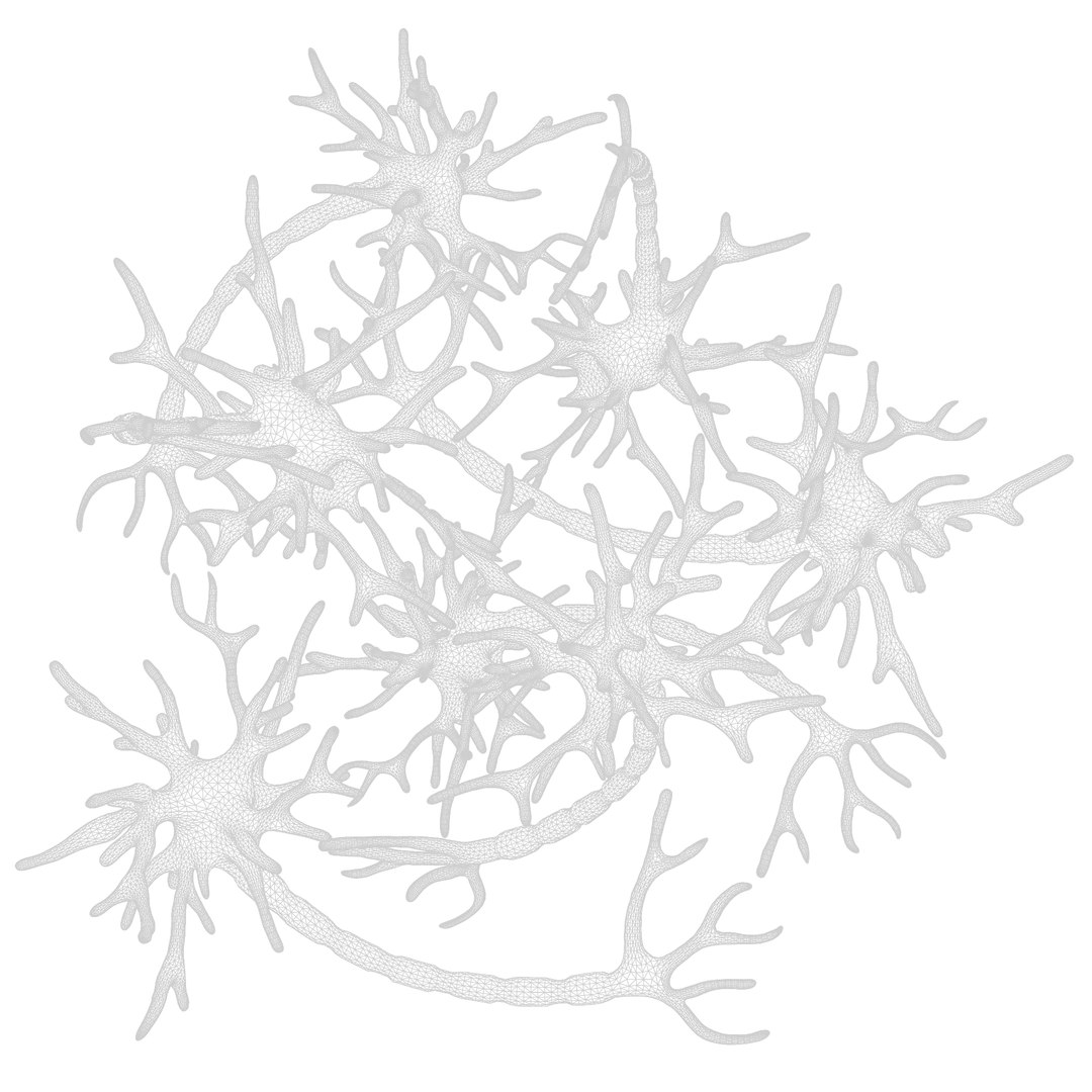 Human Neuron 3D Model - TurboSquid 1824281