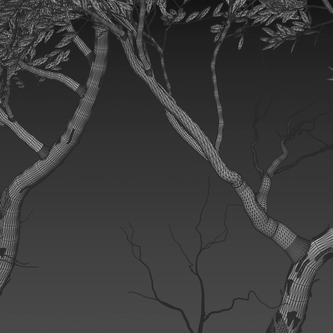 3D Set Of Fruitless Olive Or Olea Europaea Trees - 2 Trees - TurboSquid 1994167