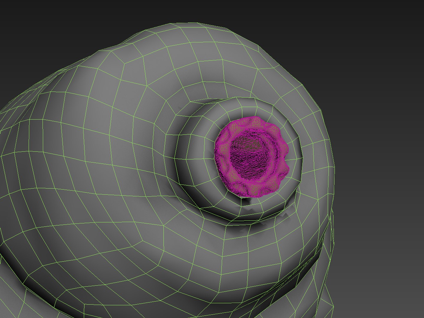 Tardigrades Water Bears 3D Model - TurboSquid 1250409