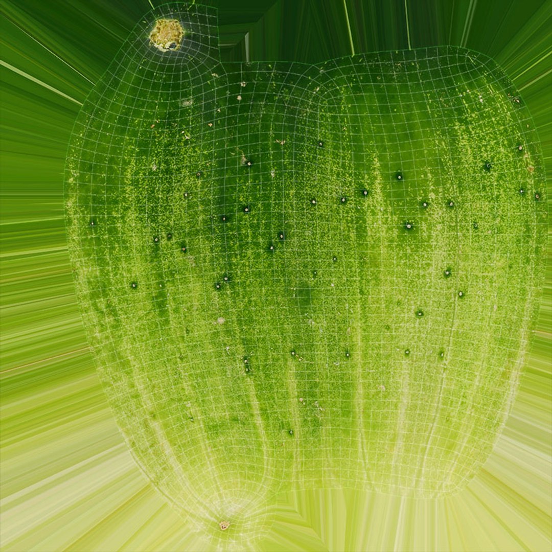 Cucumbers 01 model - TurboSquid 2071549