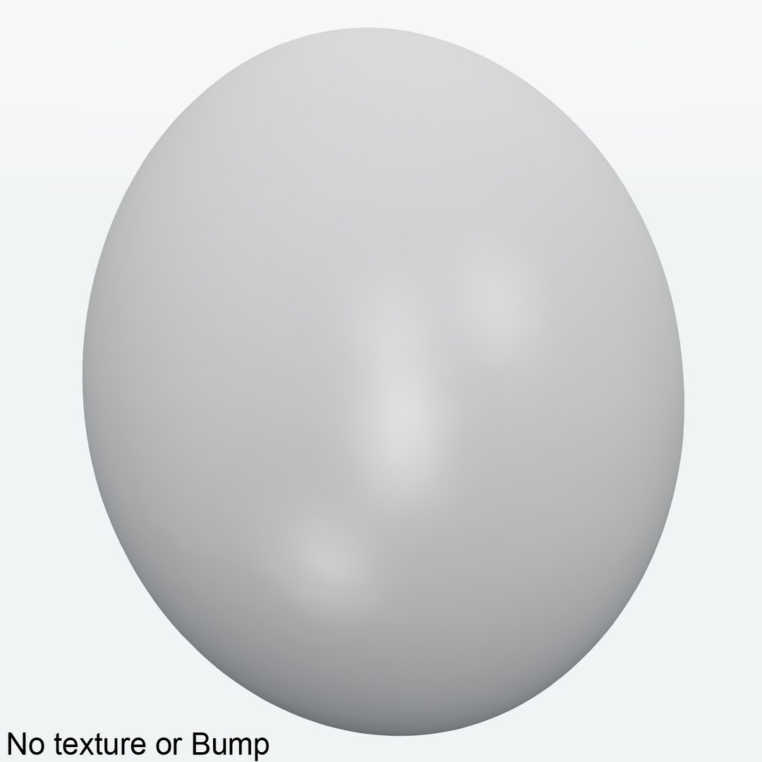Maya Scanned Ostrich Egg