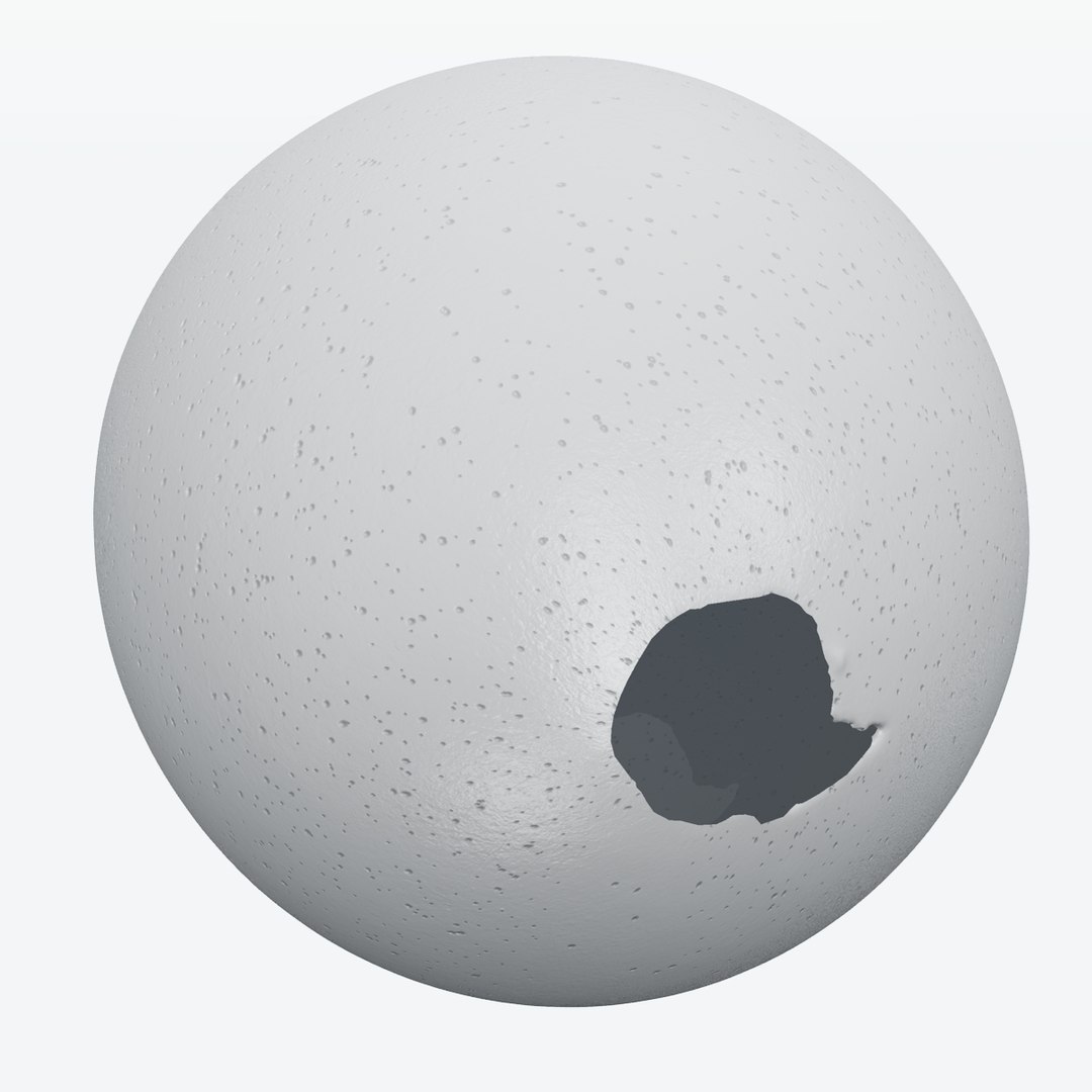 Maya Scanned Ostrich Egg