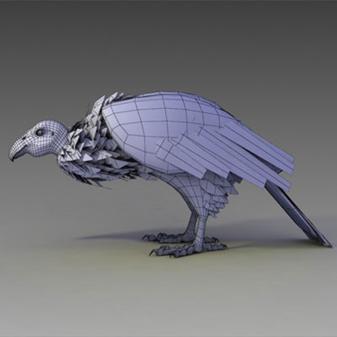 3ds Max California Condor Bird