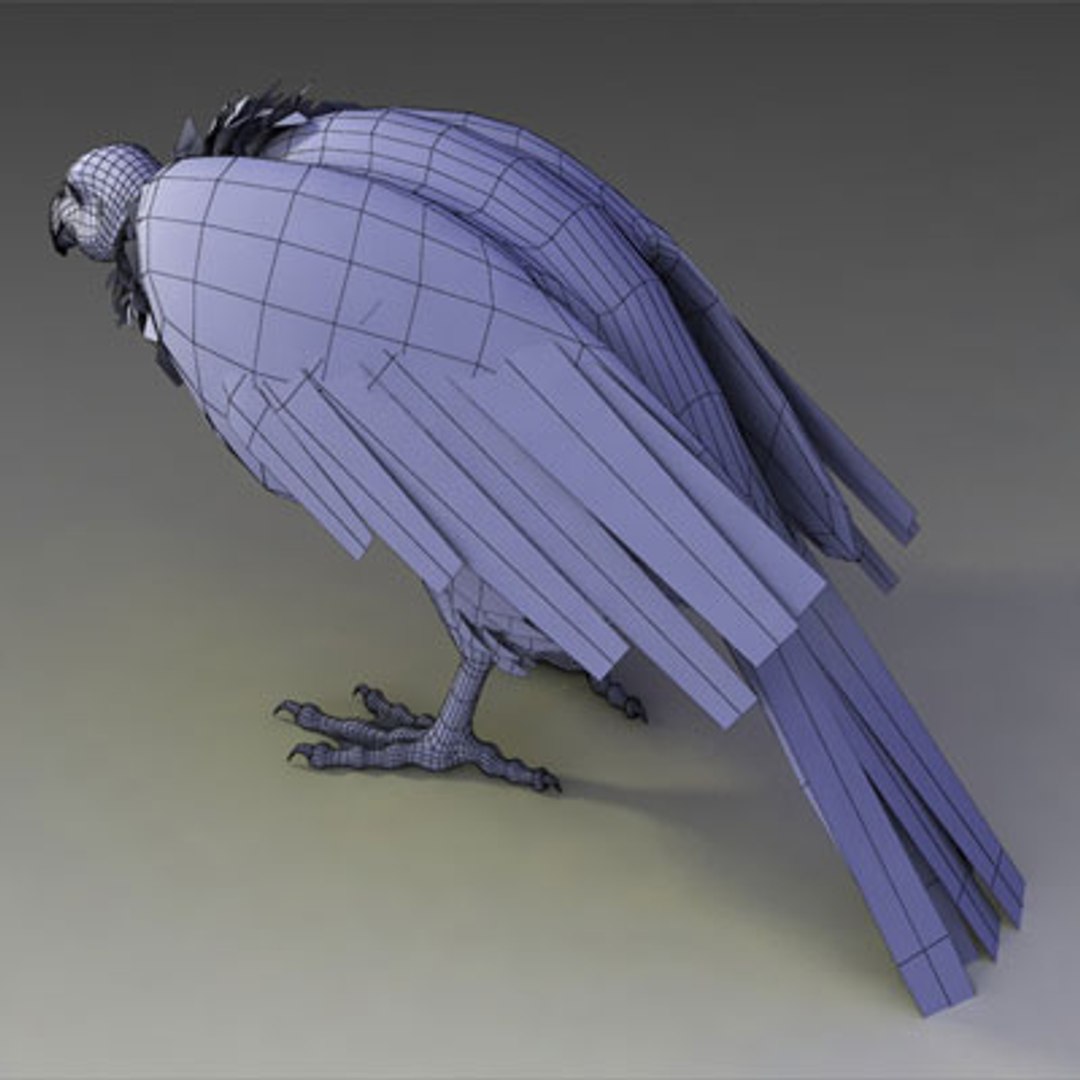 3ds Max California Condor Bird