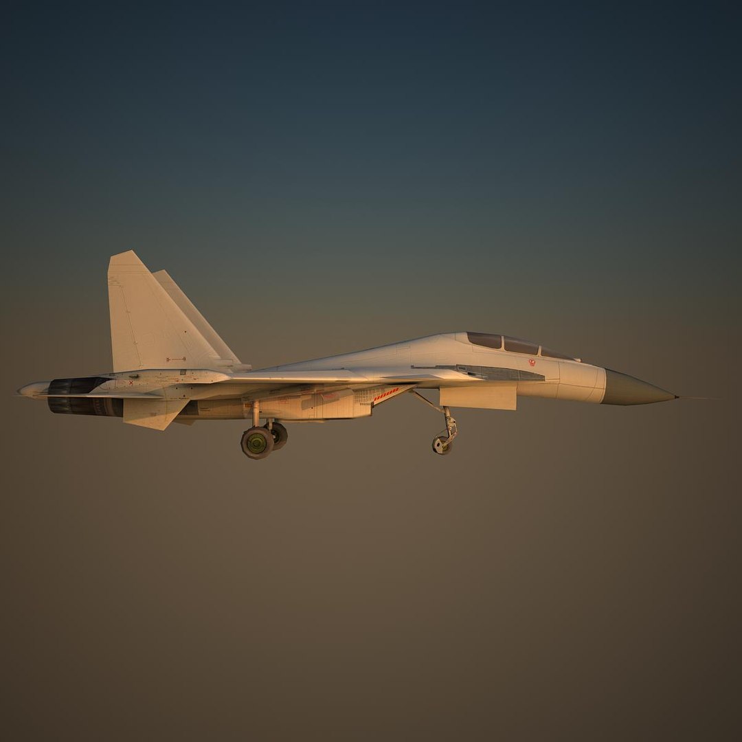 Max Sukhoi Basic Fighter Aircraft