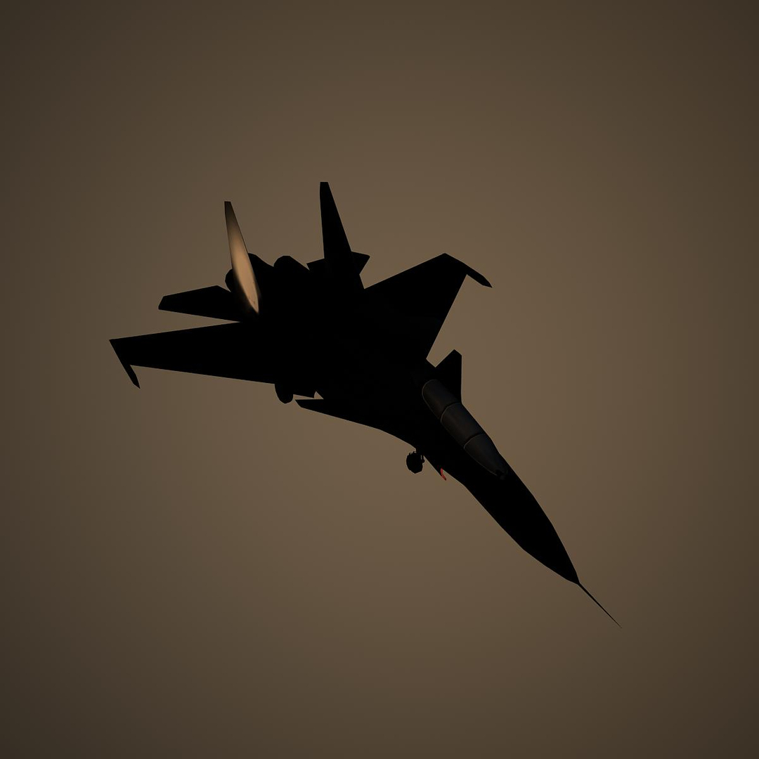 Max Sukhoi Basic Fighter Aircraft