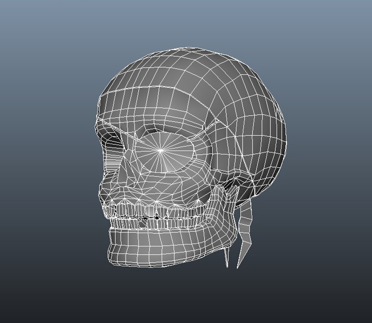 pirate skull 3d model
