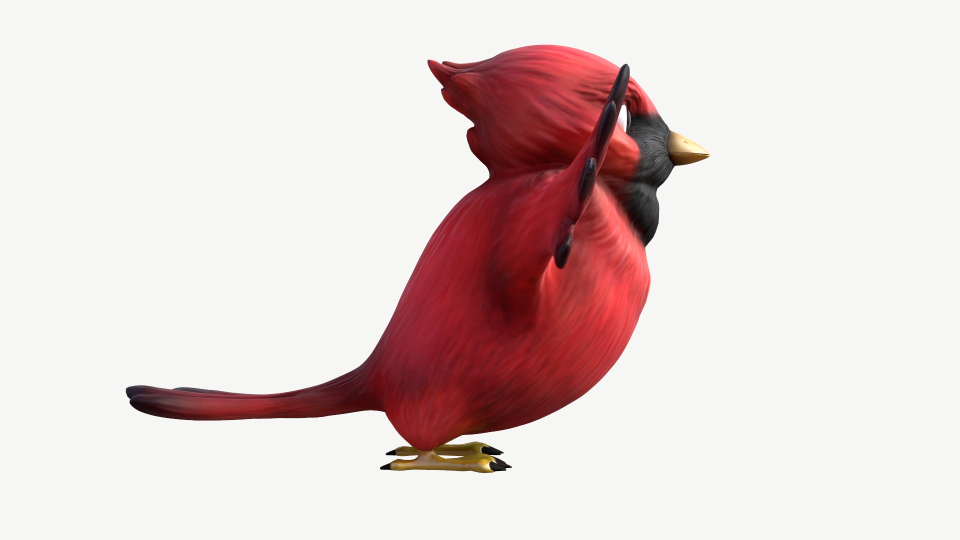 Cardinal Bird Model - TurboSquid 1160926