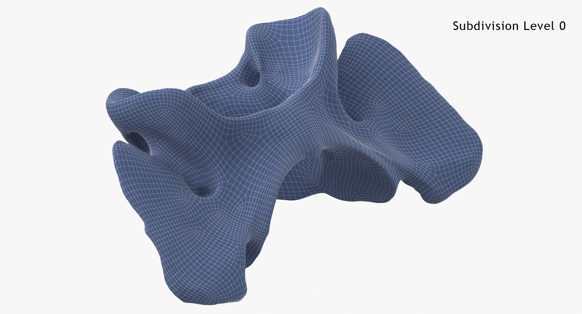 3D Domestic Cat Cervical Vertebrae C1 Atlas 01 - TurboSquid 1828879