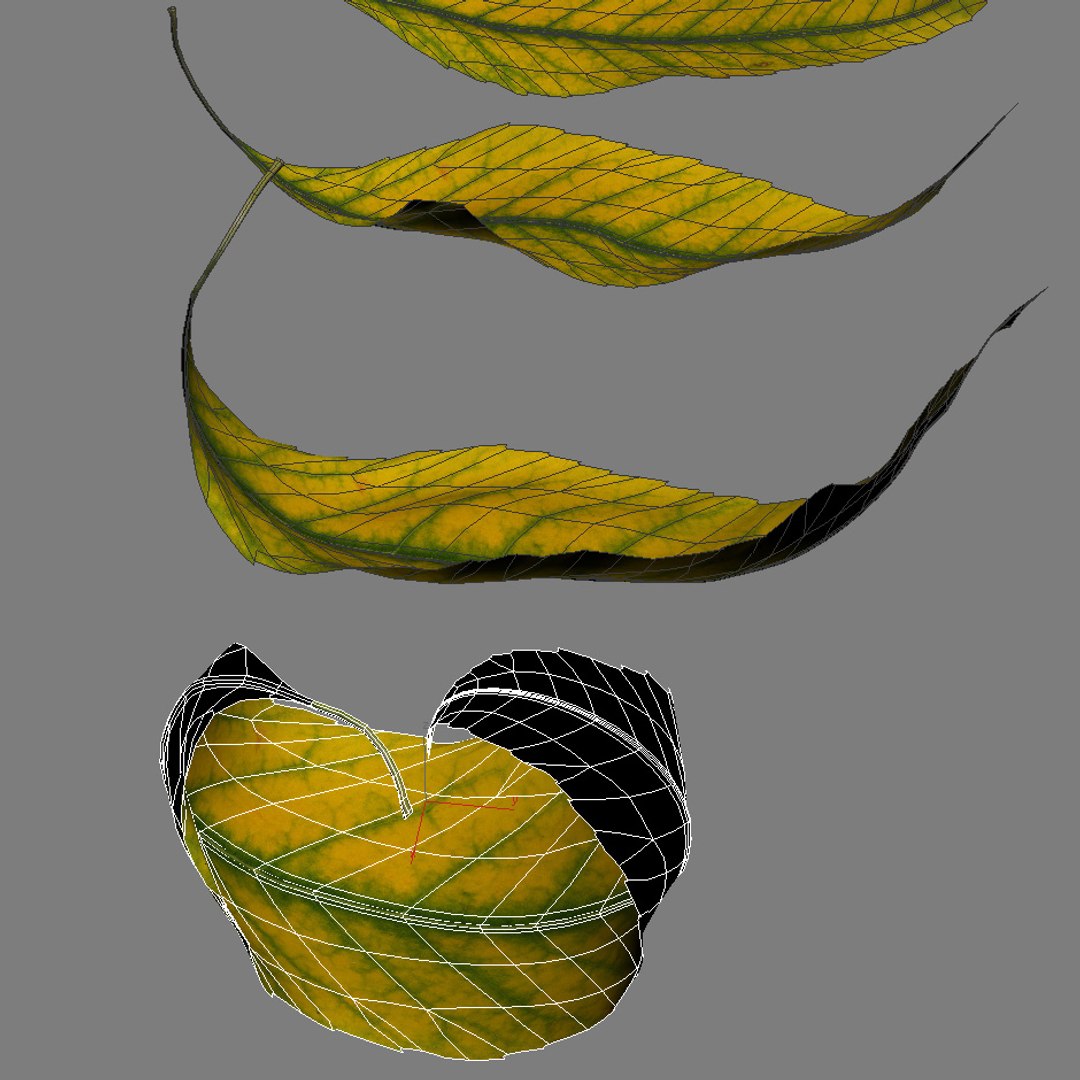 3ds Max Autumn Leaf