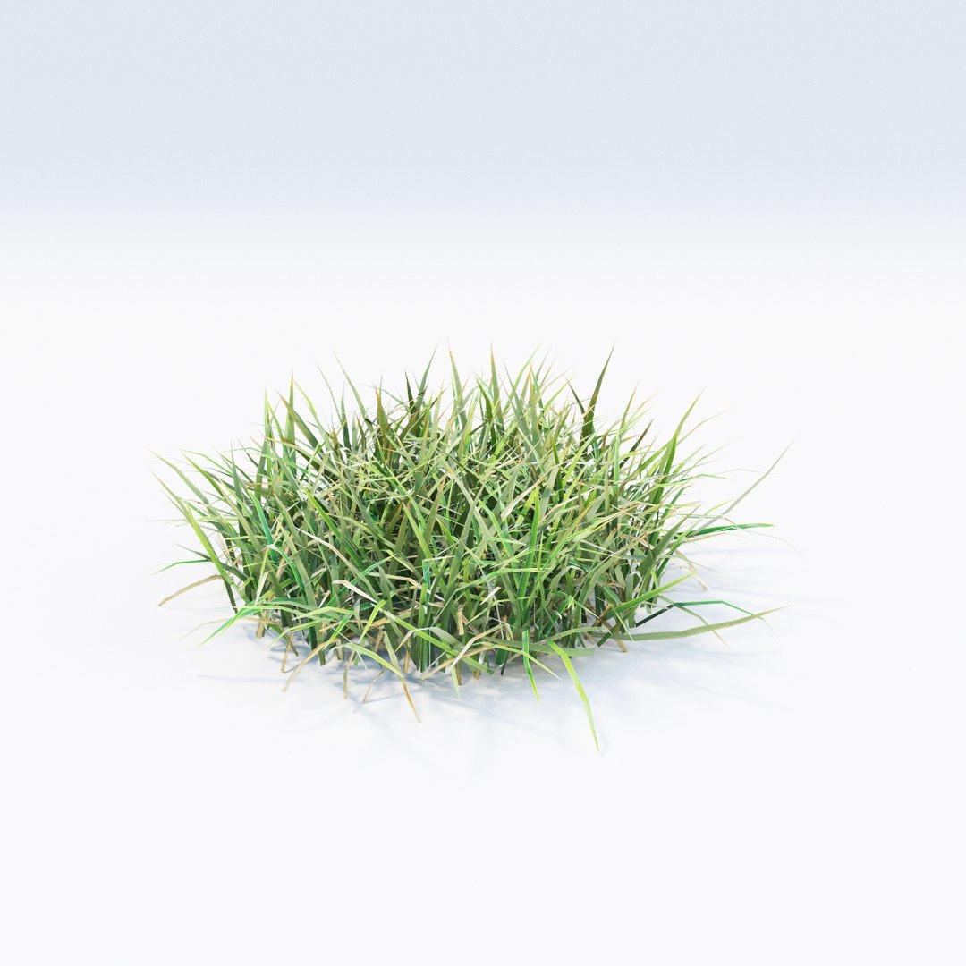 Realistic Grass Max