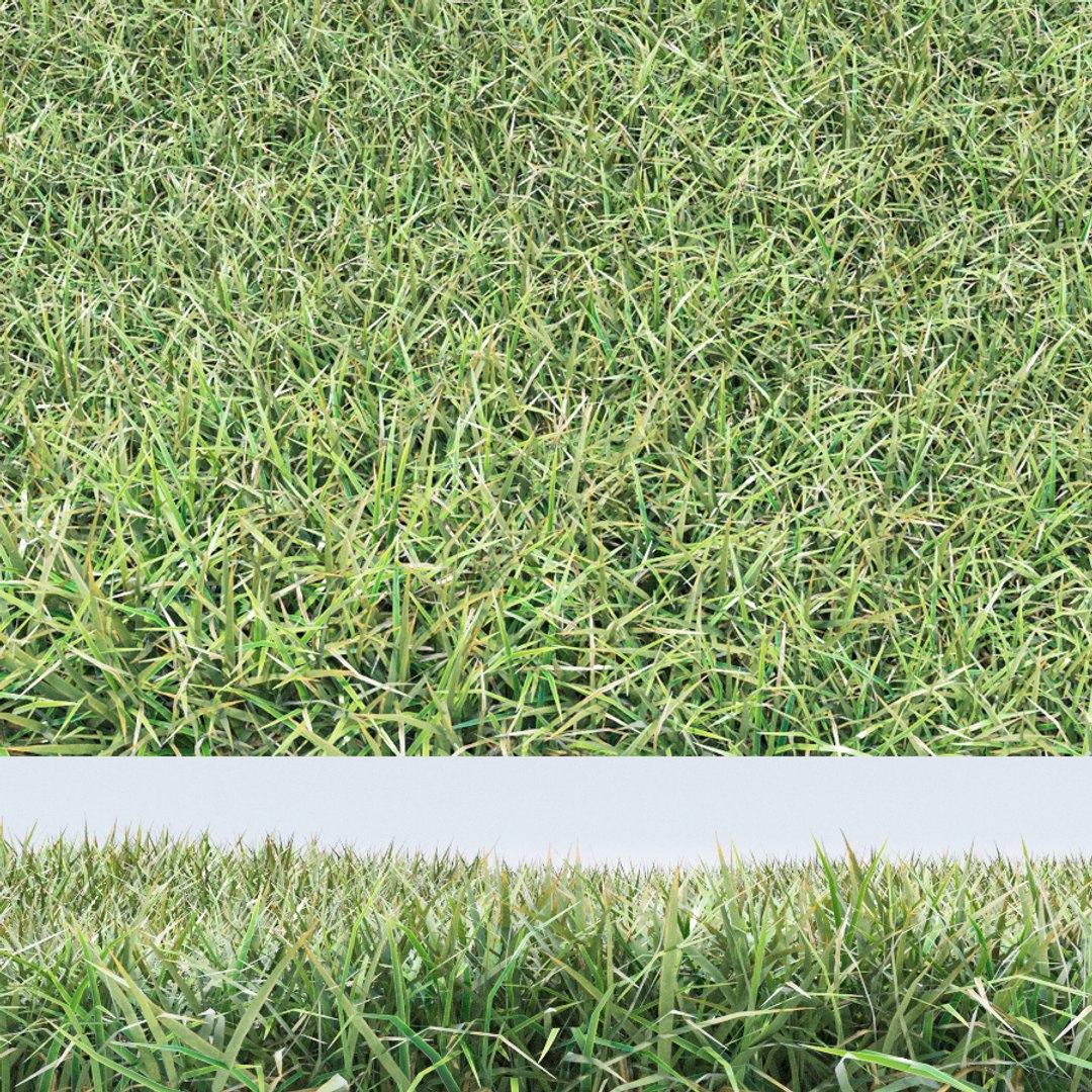 Realistic Grass Max