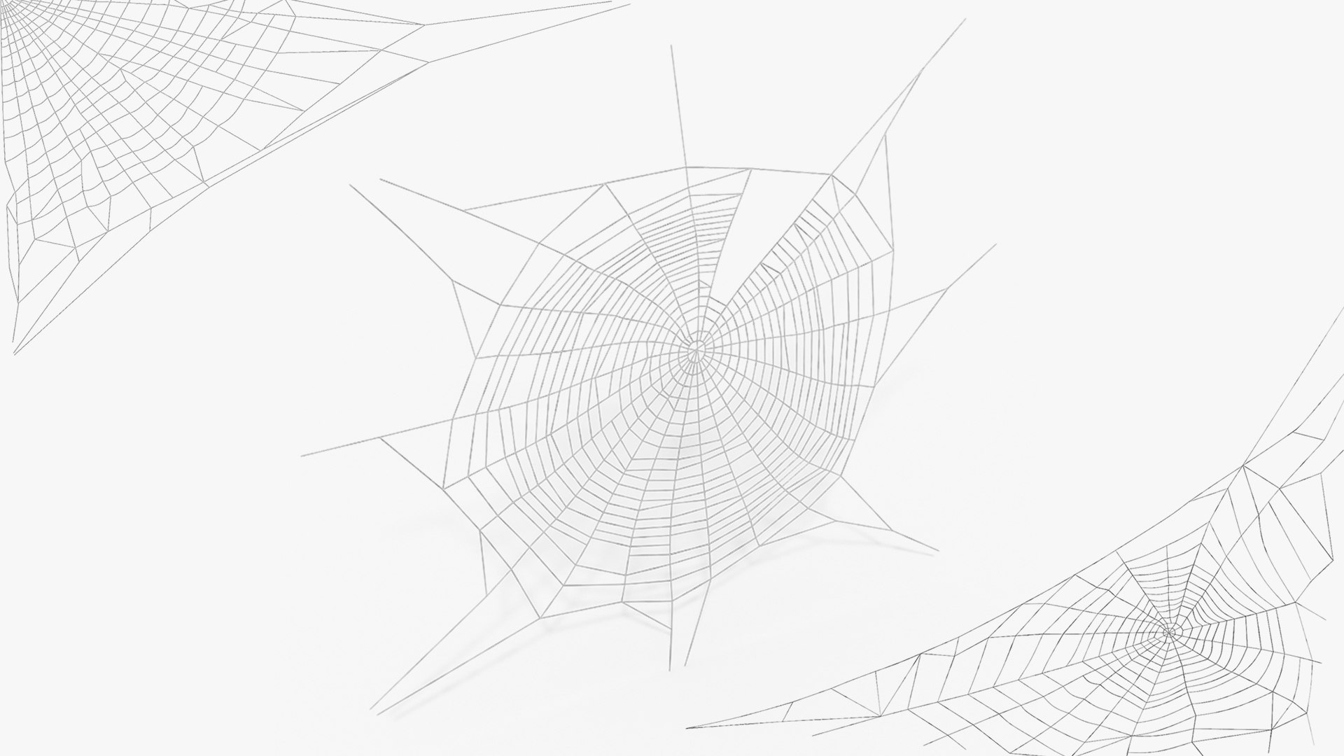 Spider Webs Collection 3D - TurboSquid 2239922