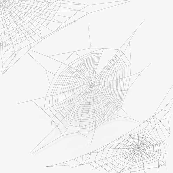Free 3D Spider-Web Models | TurboSquid