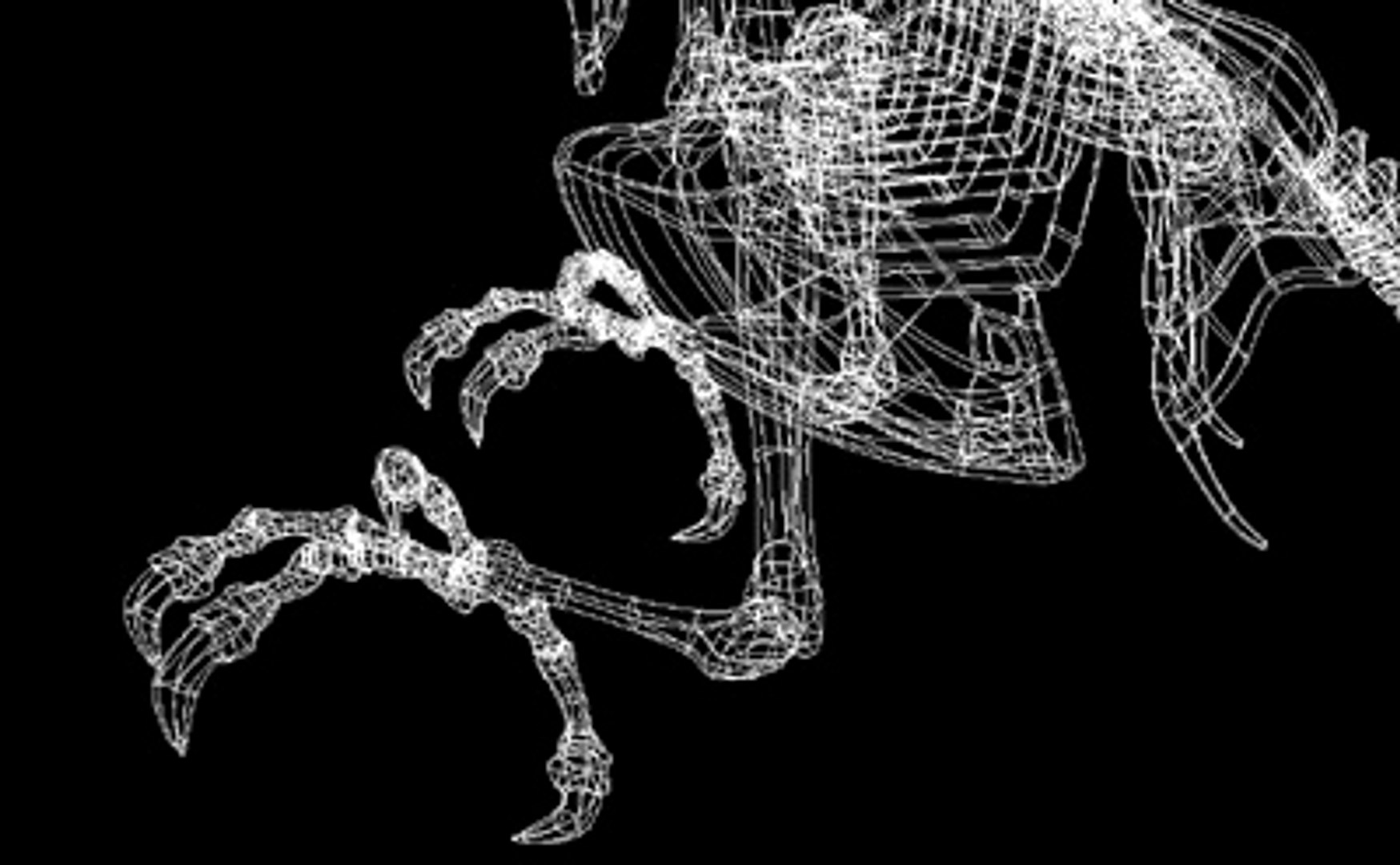 Bird Skeleton C4d
