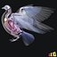 pigeon anatomy skeleton 3d lwo