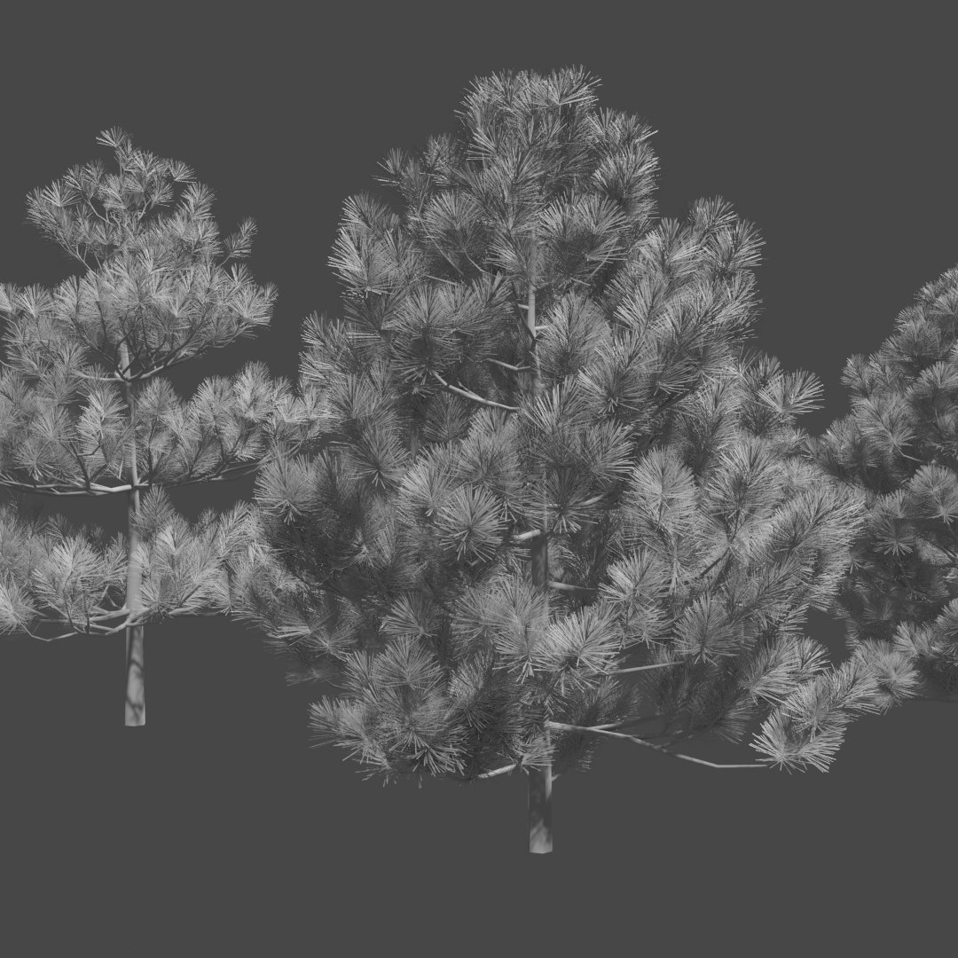 3D Pine Trees - TurboSquid 1520048