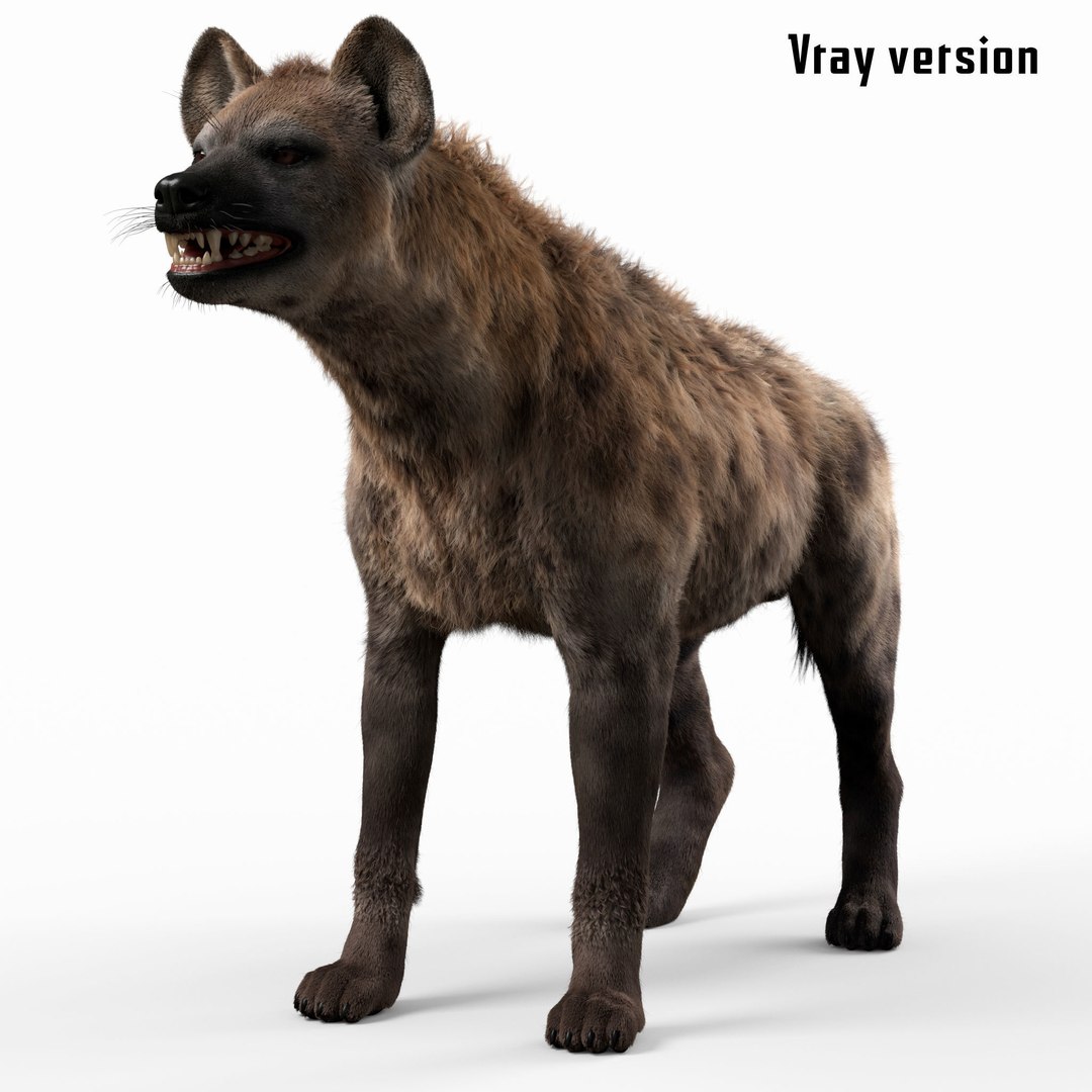 Hyena For Production 3D Model - TurboSquid 1828613