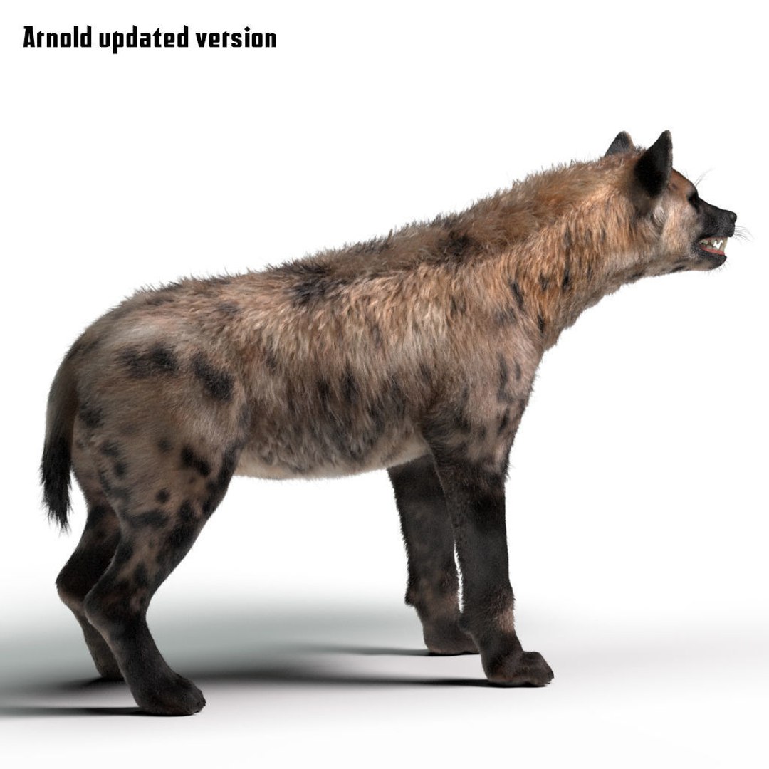 Hyena For Production 3D Model - TurboSquid 1828613