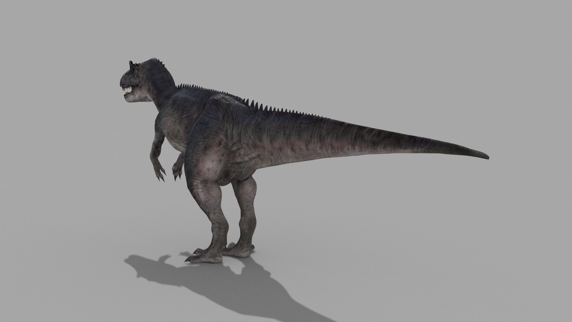 3D Real Animated Allosaurus - 8K - TurboSquid 2234731