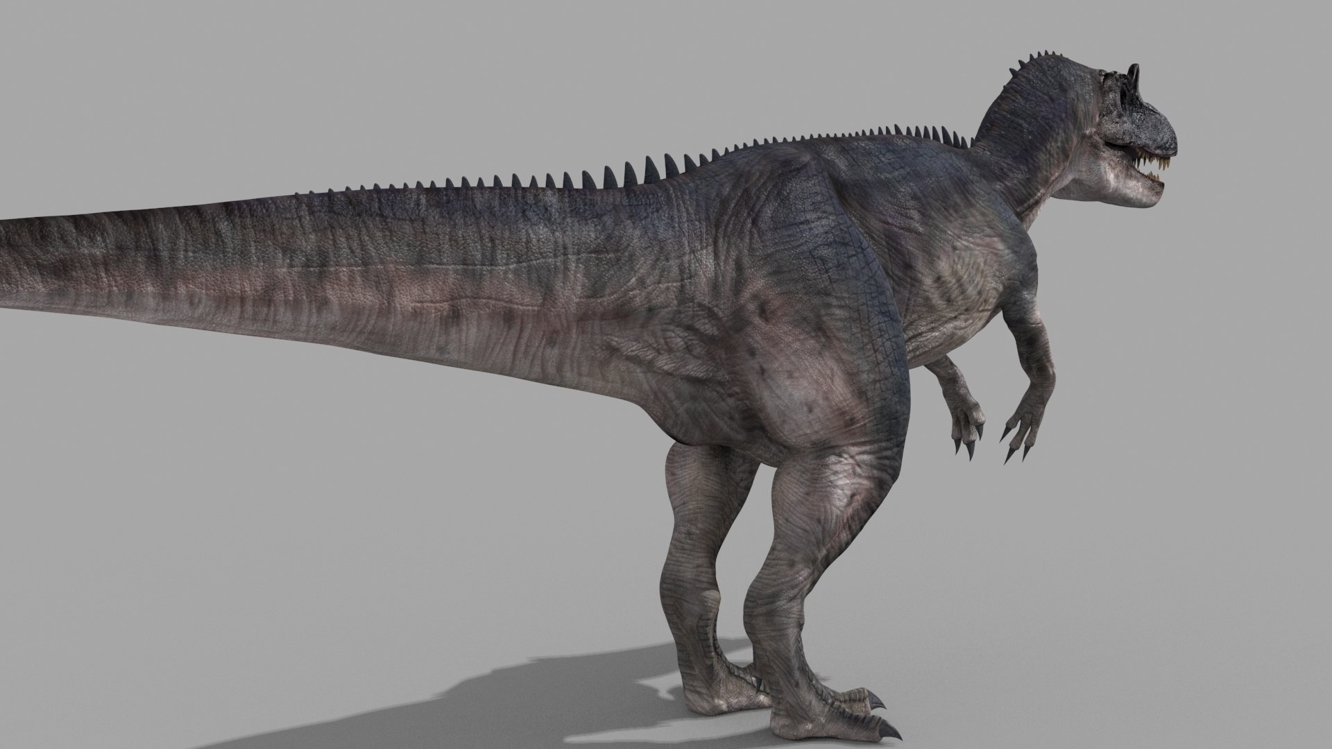 3D Real Animated Allosaurus - 8K - TurboSquid 2234731