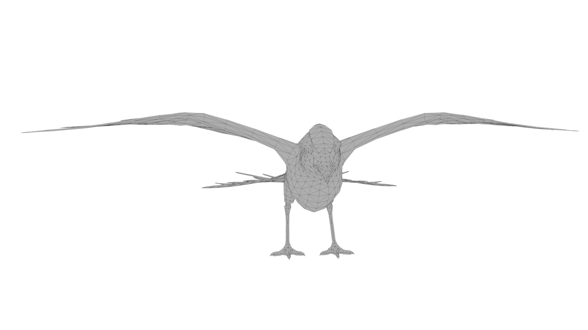 3D Pigeon Model - TurboSquid 1844466