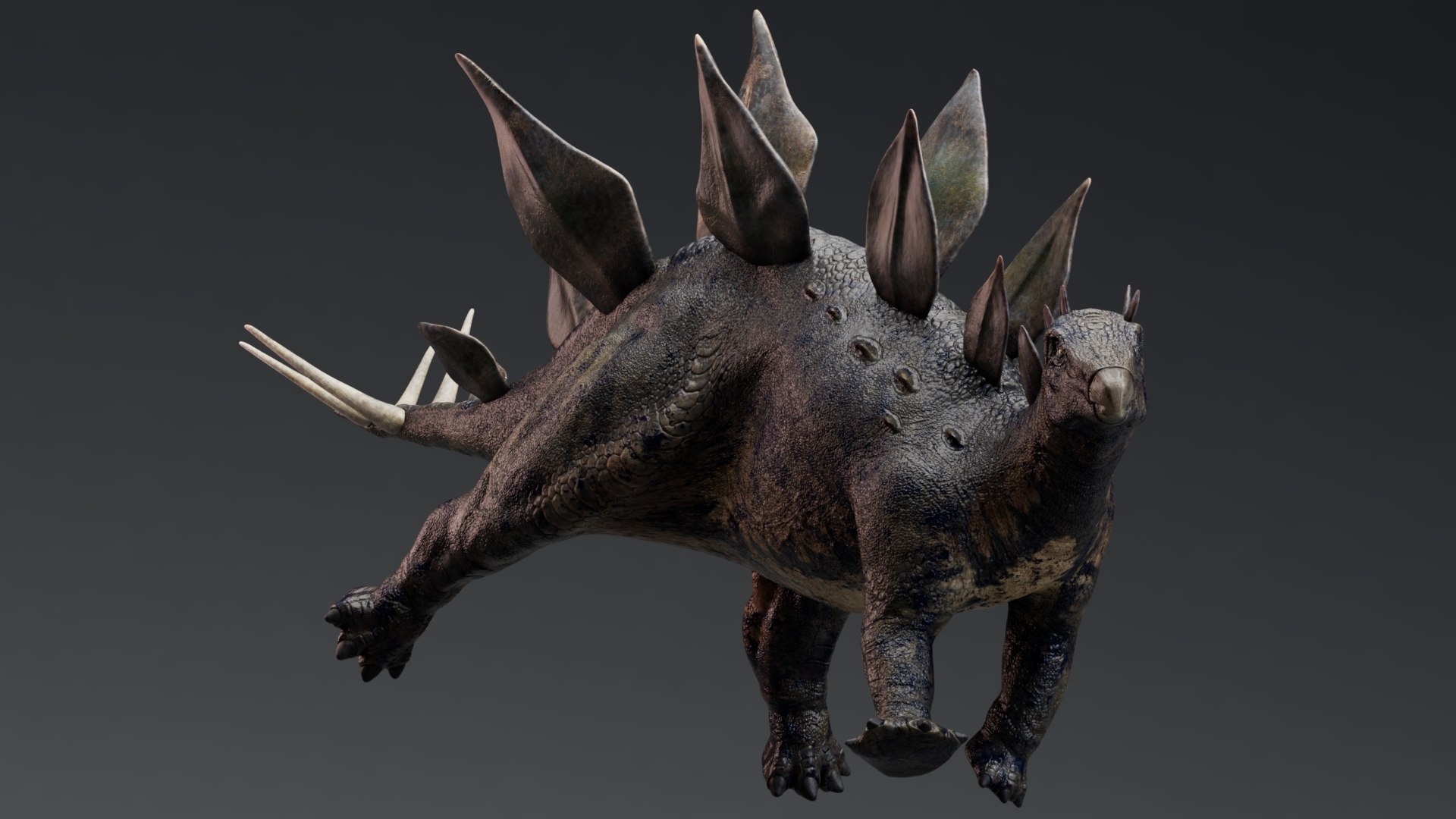 Stegosaurus Real Dinosaur Series model - TurboSquid 1993946
