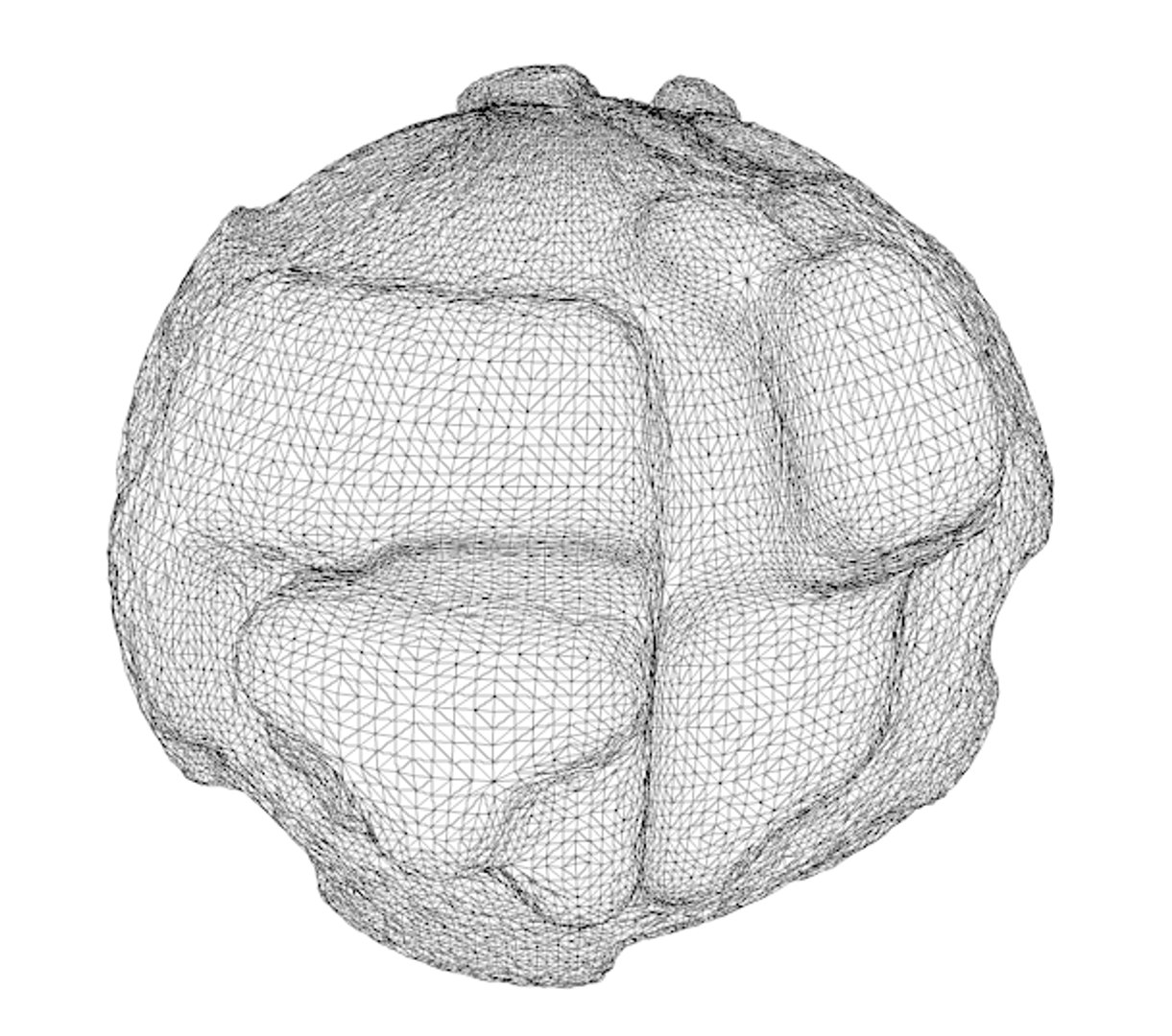 3d Insect Cell Model