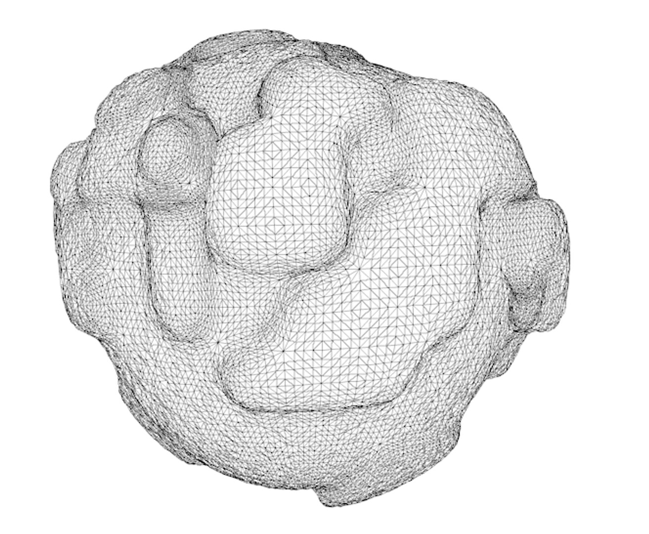 3d Insect Cell Model