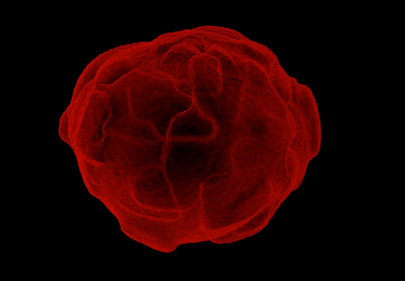 3d Insect Cell Model