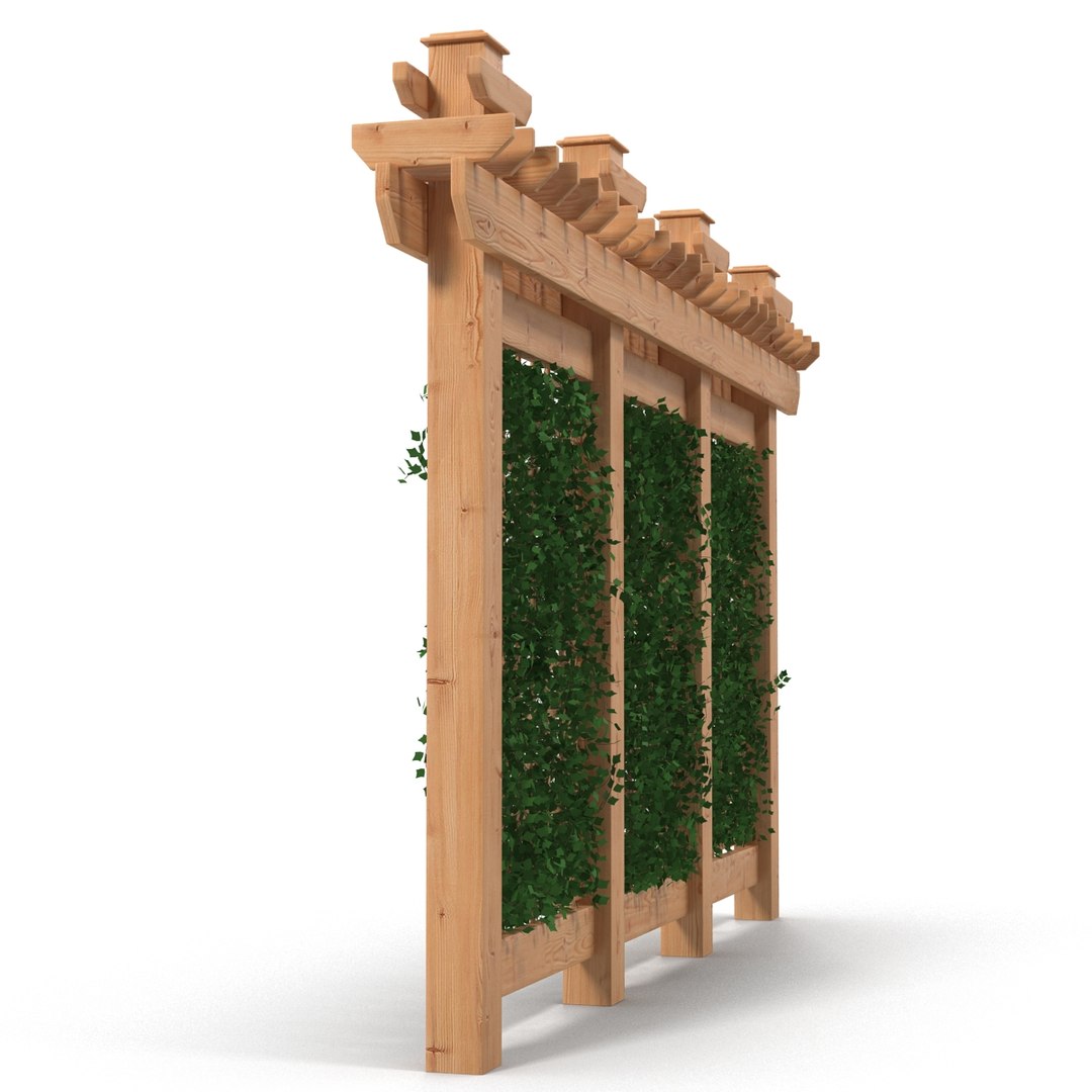 Garden Trellis Modeled 3d Model