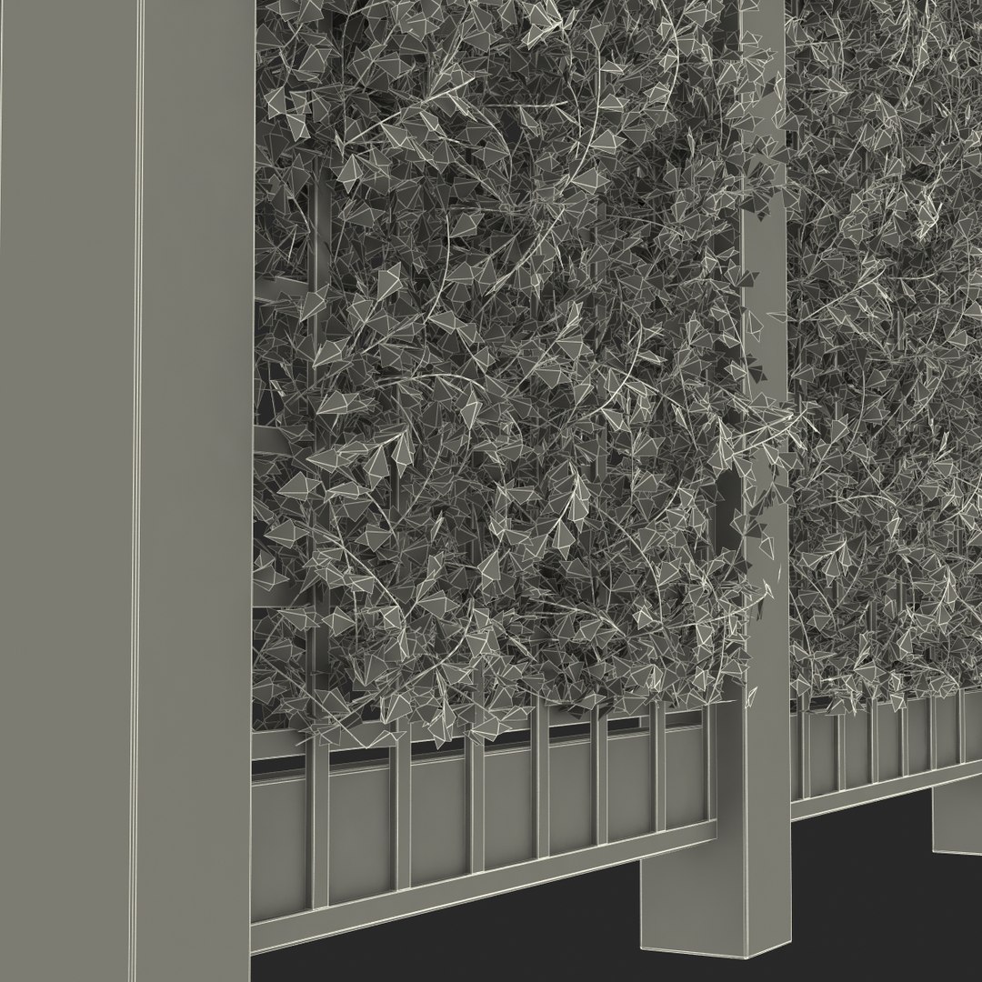 Garden Trellis Modeled 3d Model