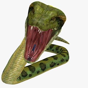 Pit Viper 3D Models for Download | TurboSquid