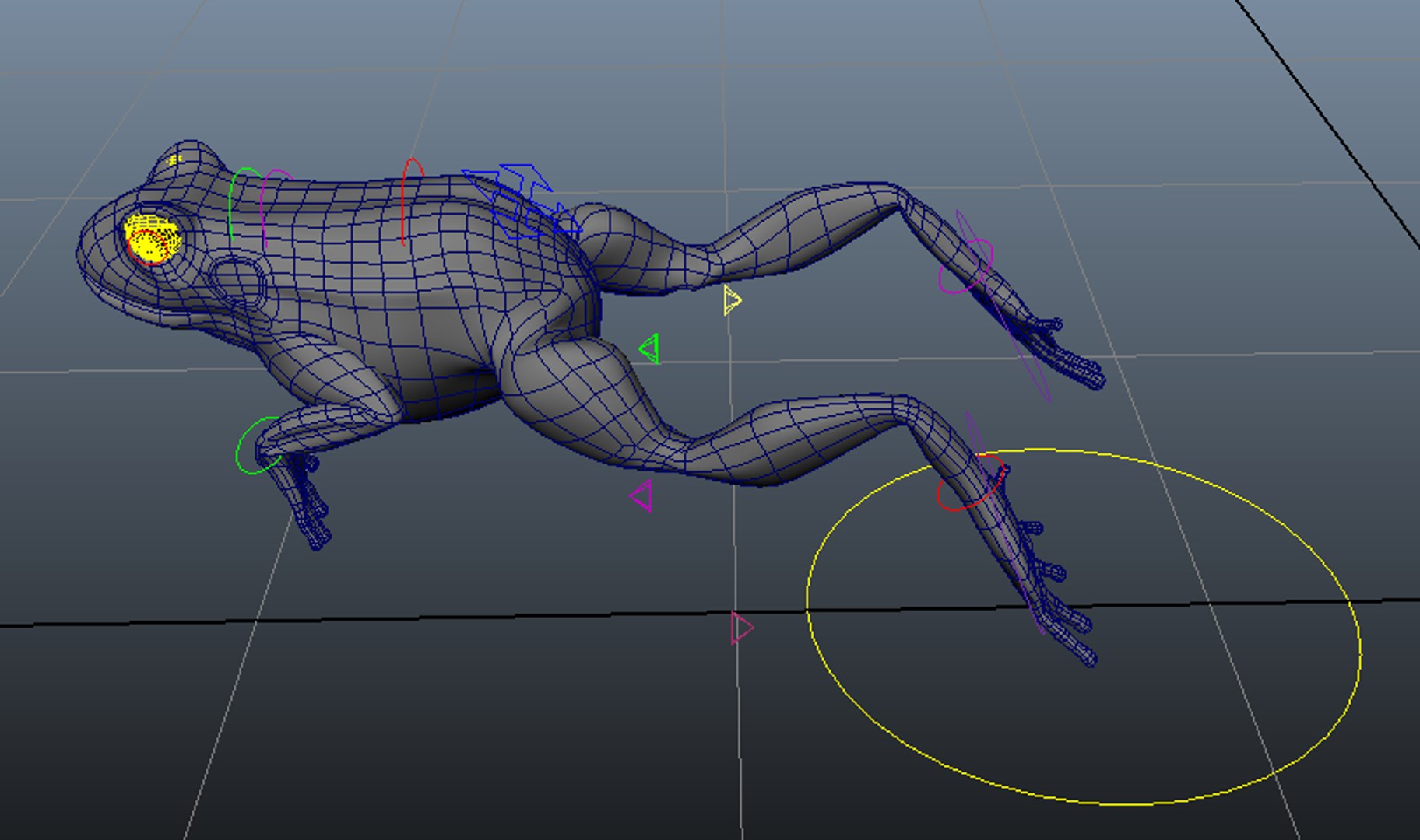 3D Model Frog - TurboSquid 1264038