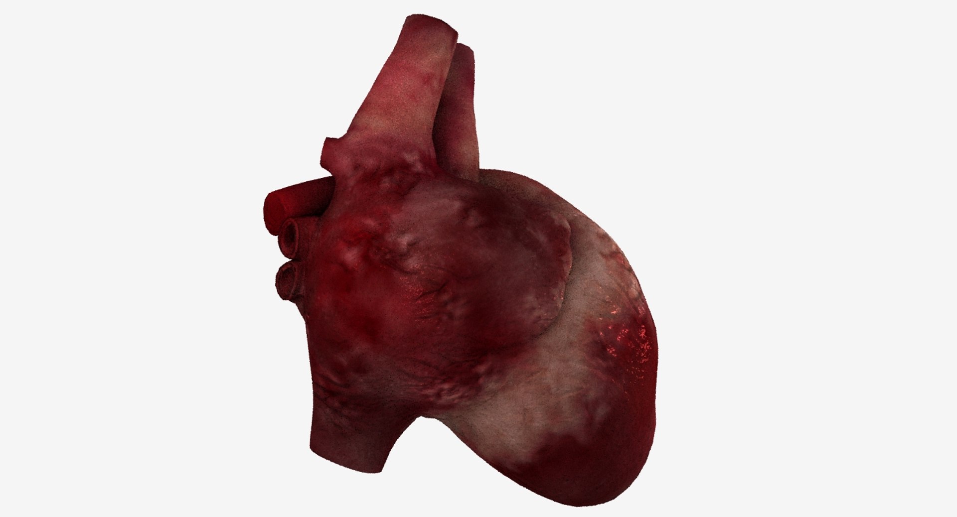 3D Model Human Heart Animation Rig - TurboSquid 1434134