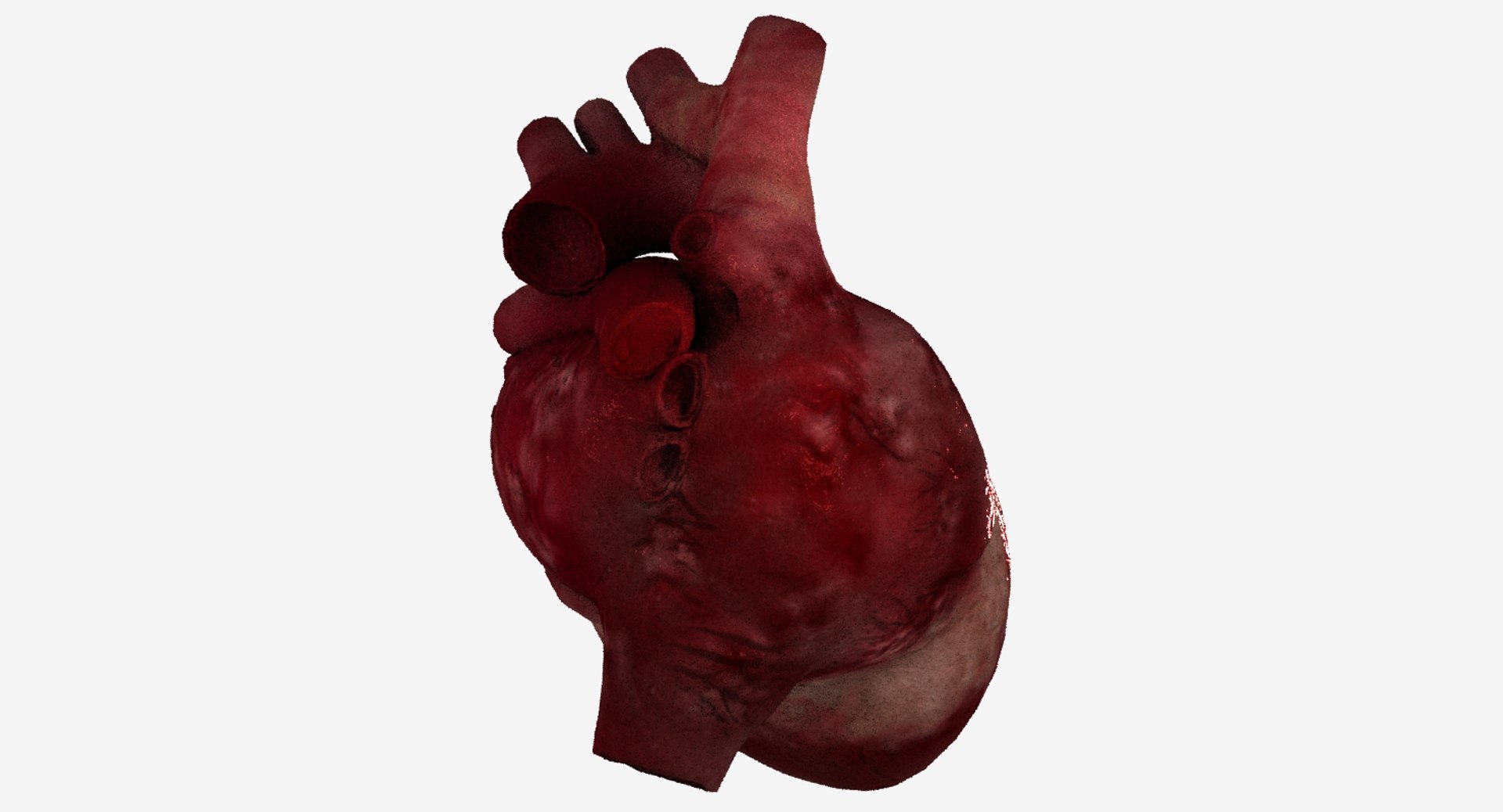 3D Model Human Heart Animation Rig - TurboSquid 1434134