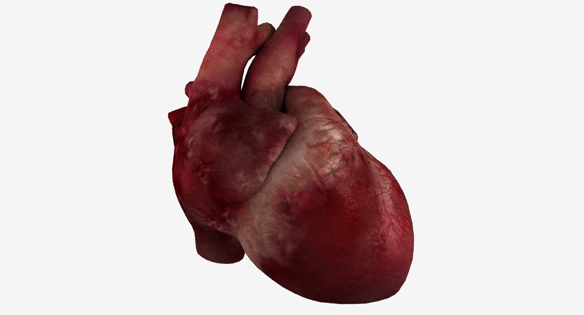 3D Model Human Heart Animation Rig - TurboSquid 1434134