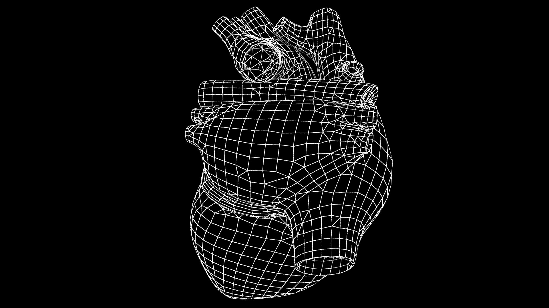 3D Model Human Heart Animation Rig - TurboSquid 1434134