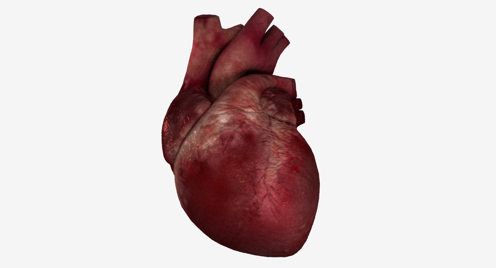 3D Model Human Heart Animation Rig - TurboSquid 1434134