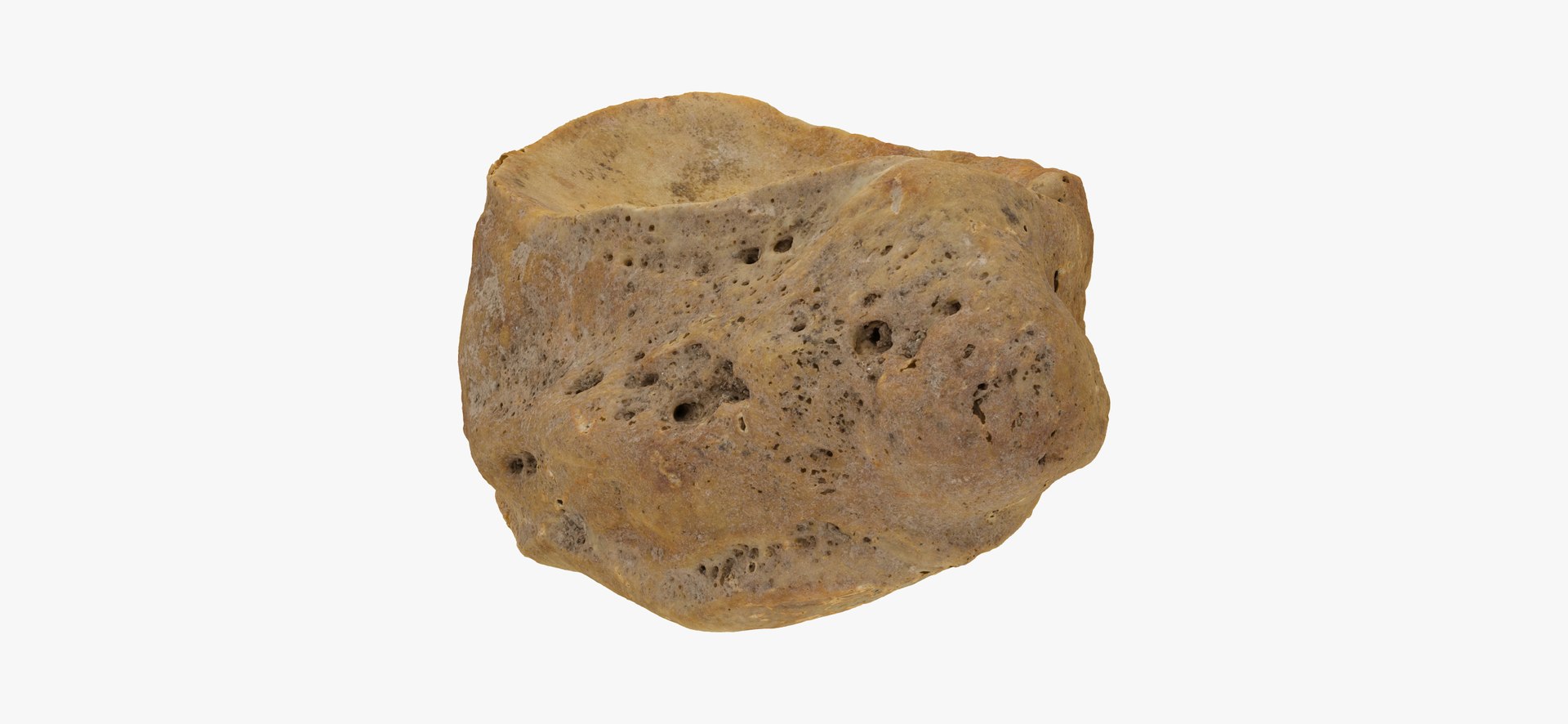 Nevicular Bone 01 Raw 3D Model - TurboSquid 1553315