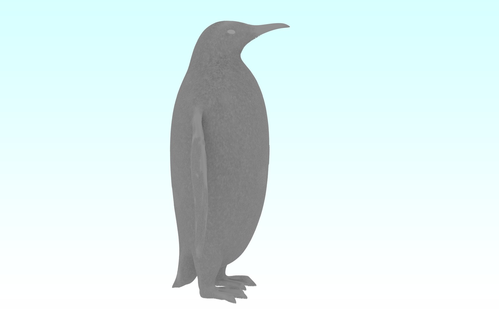 Penguin 3D model - TurboSquid 1746214