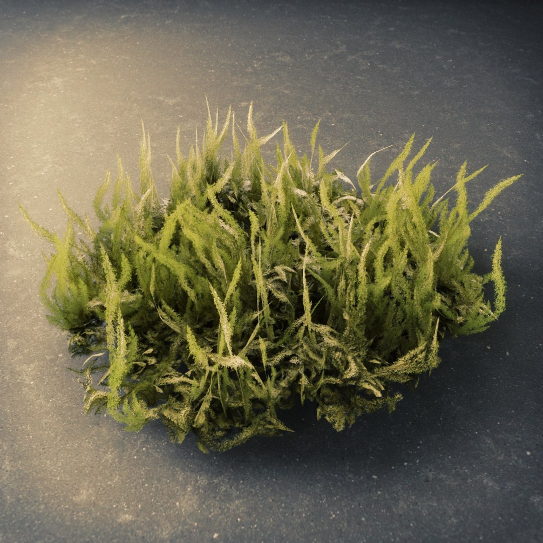 Moss 15 3D Model - TurboSquid 1535023