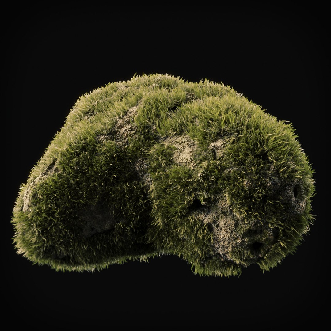 Moss 15 3D Model - TurboSquid 1535023