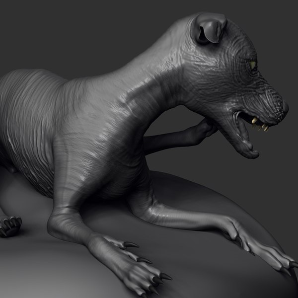 free sam world ugliest dog 3d model
