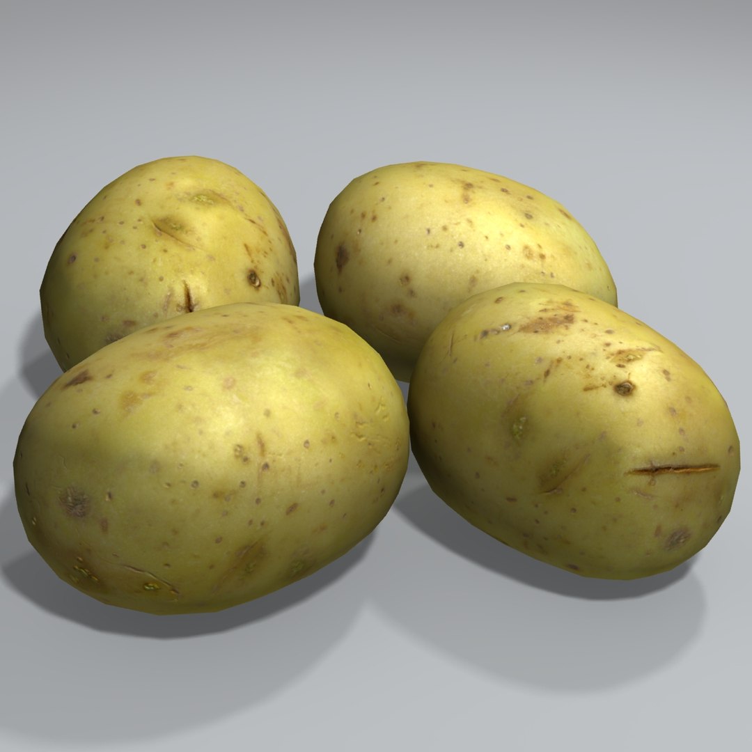 3d Potato Model