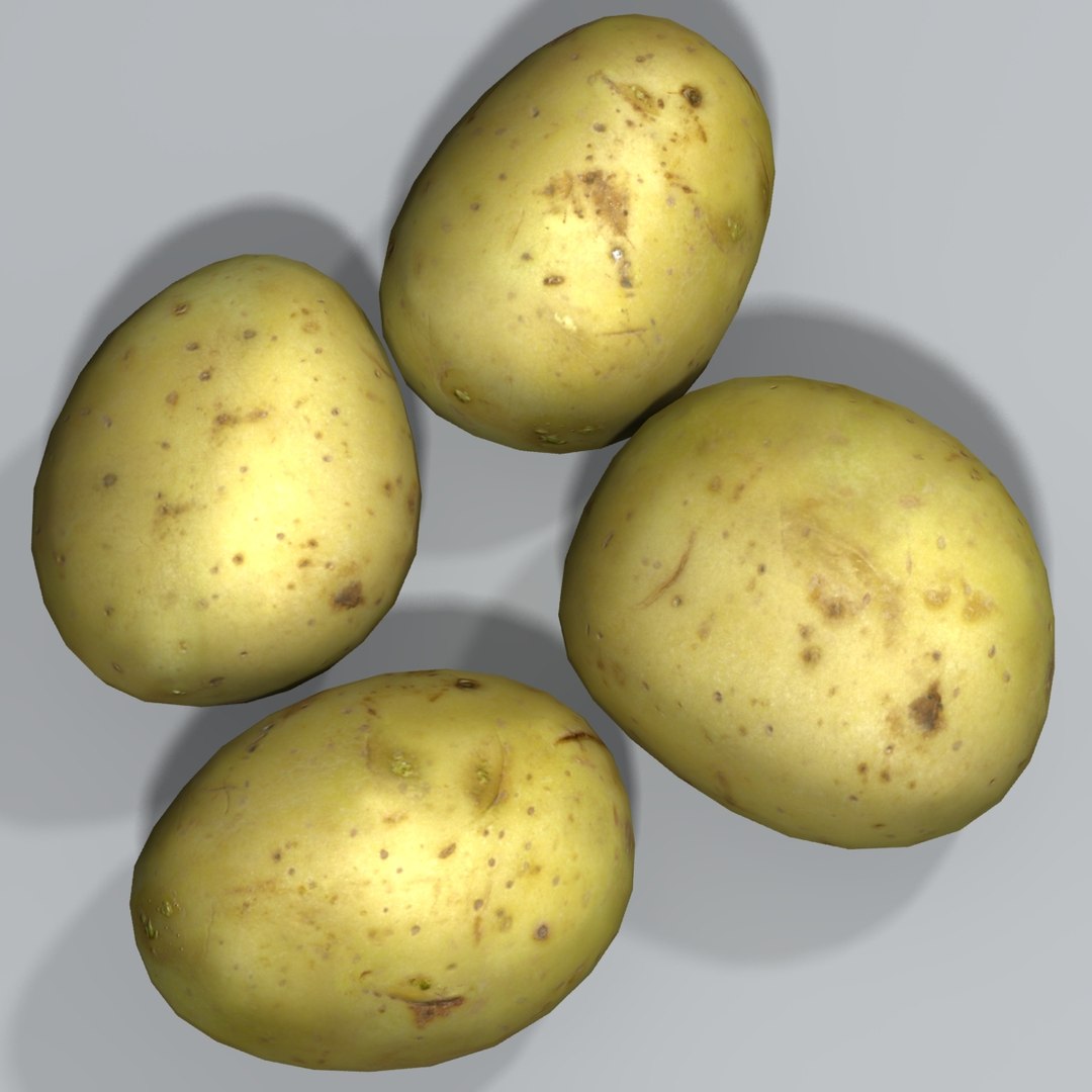 3d Potato Model